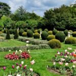 Belton House | Dog-friendly travels in the UK
