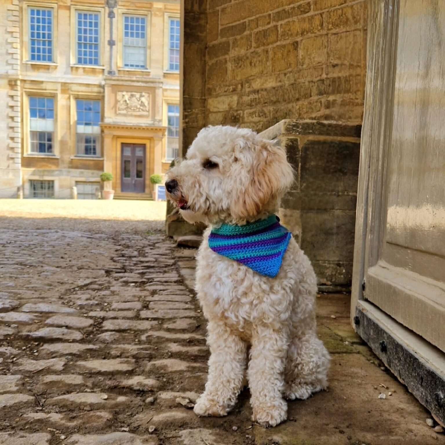 Belton House | Dog-friendly travels in the UK