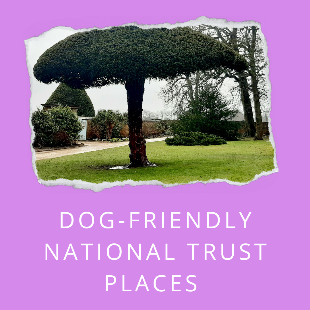 Belton House | Dog-friendly travels in the UK