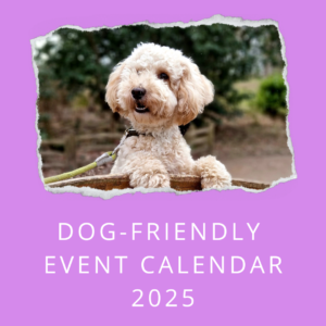 Belton House | Dog-friendly travels in the UK